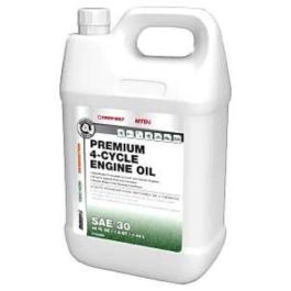 4-CYCLE ENGINE OIL 48OZ 30W
